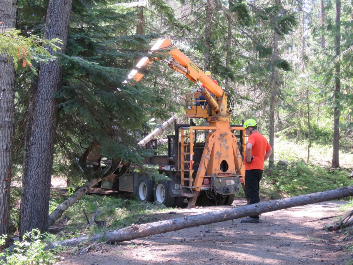 Northern Lakes Tree Service - Tree Removal in Priest Lake, Idaho