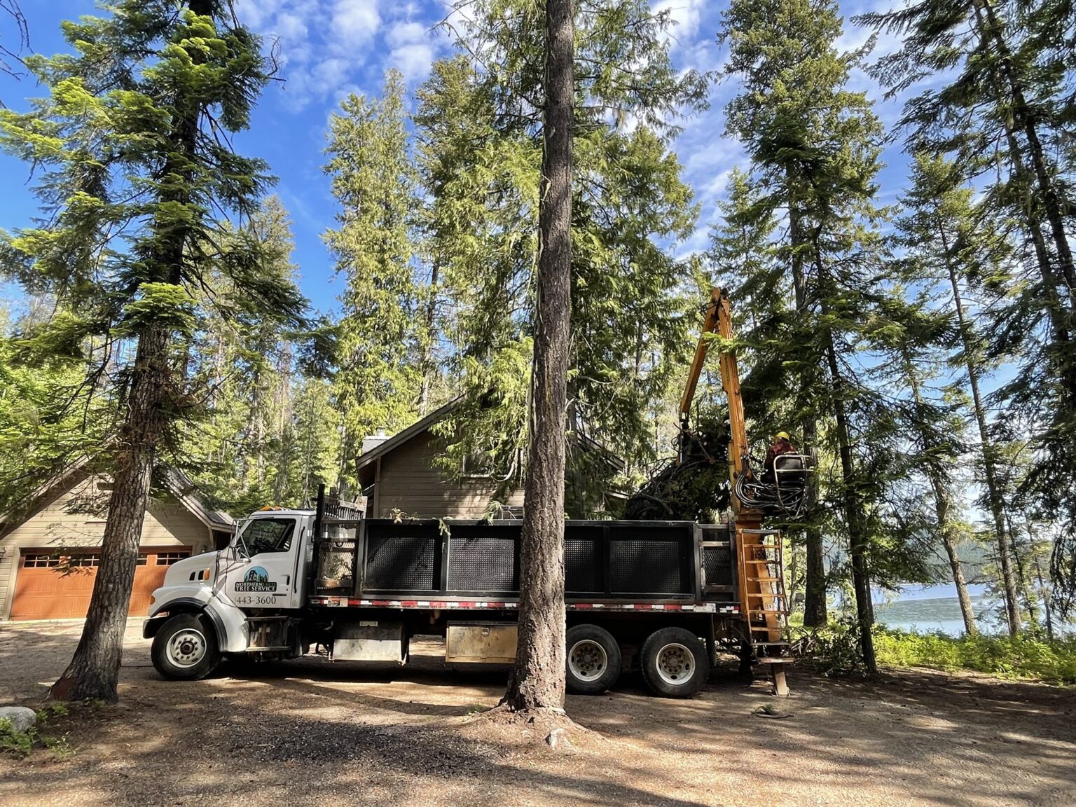 Northern Lakes Tree Service – Low-Impact Tree Service