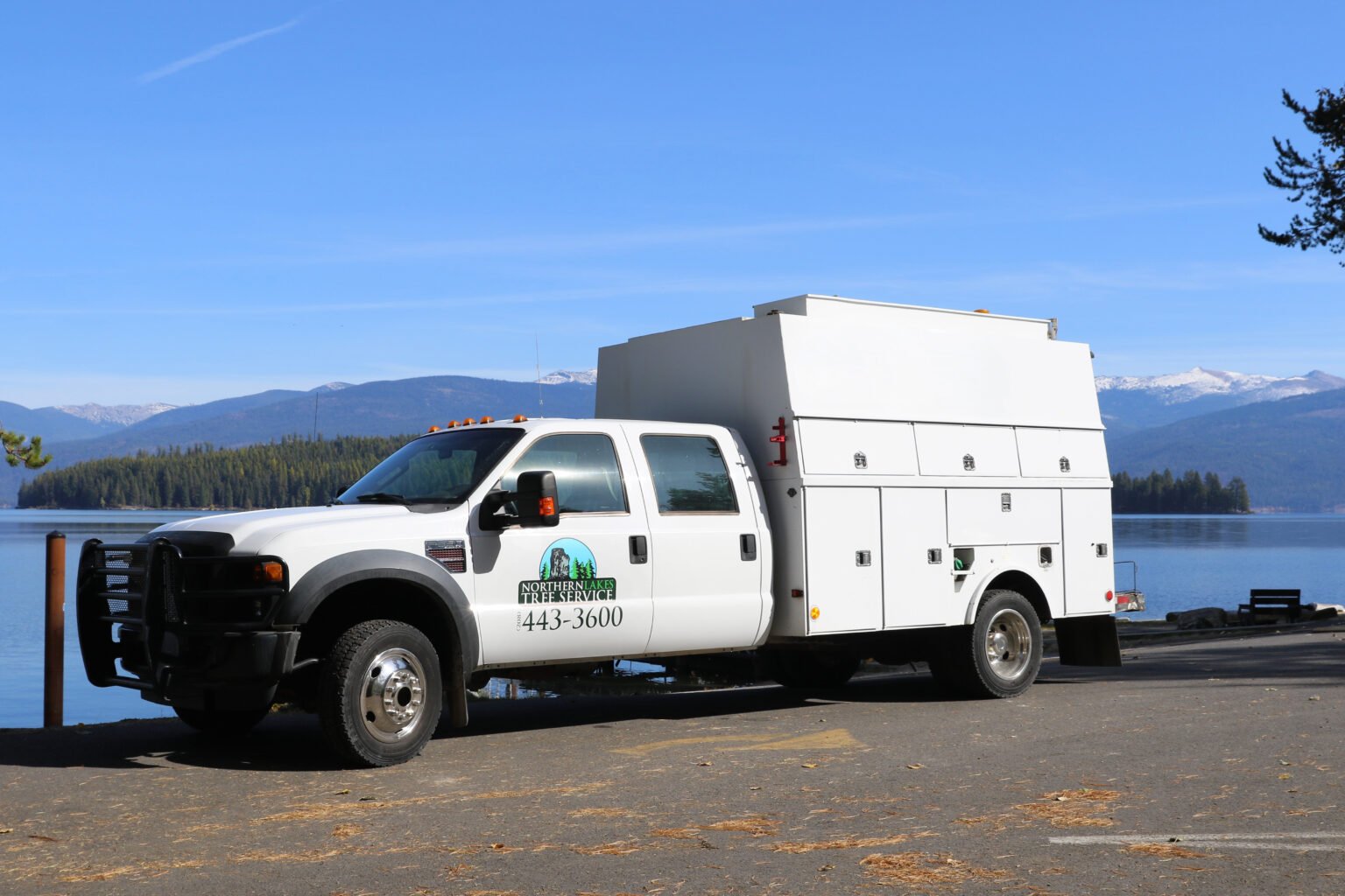 Northern Lakes Tree Service – Low-Impact Tree Service